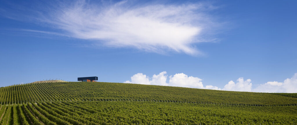 View Hill House + Vineyard | Denton Corker Marshall