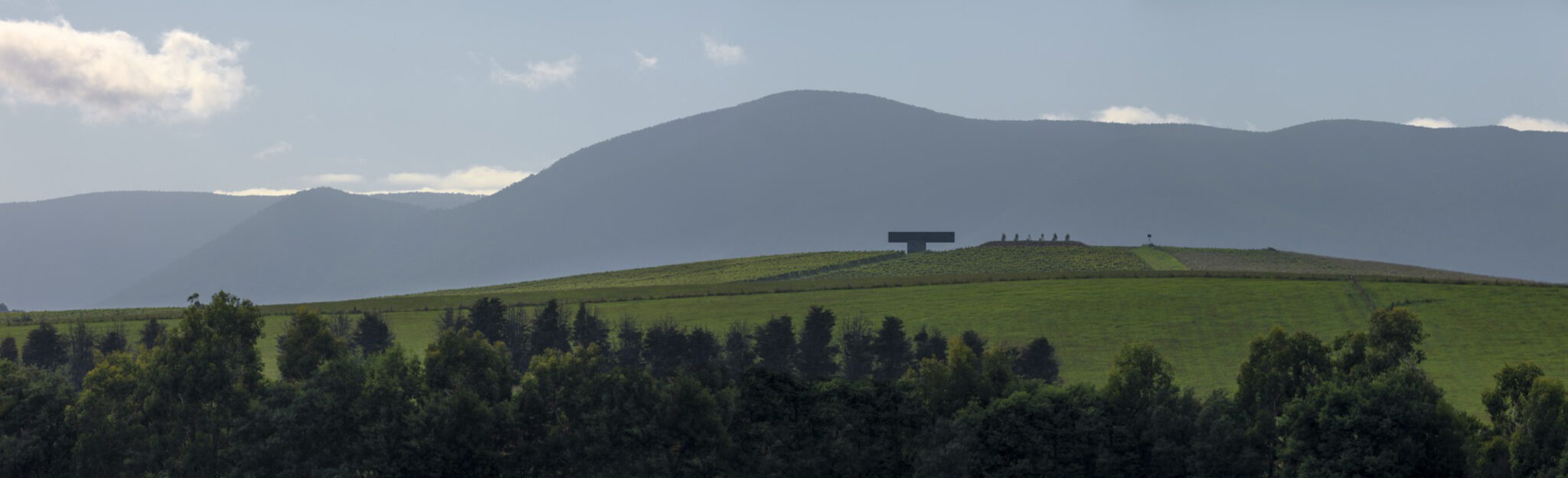 View Hill House + Vineyard | Denton Corker Marshall